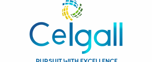 IPO - Ceigall India Limited | Tradeadams - Your are the winner, get ...